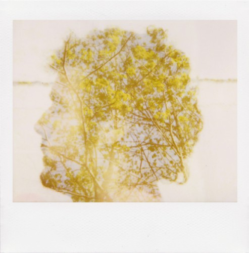 Rachel Frank - Instant Photographers