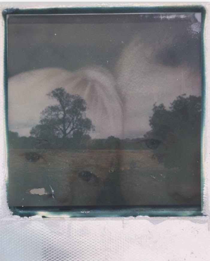 Ruth Storey - Instant Photographers