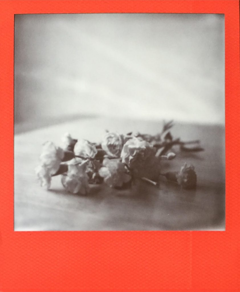 Ruth Storey - Instant Photographers