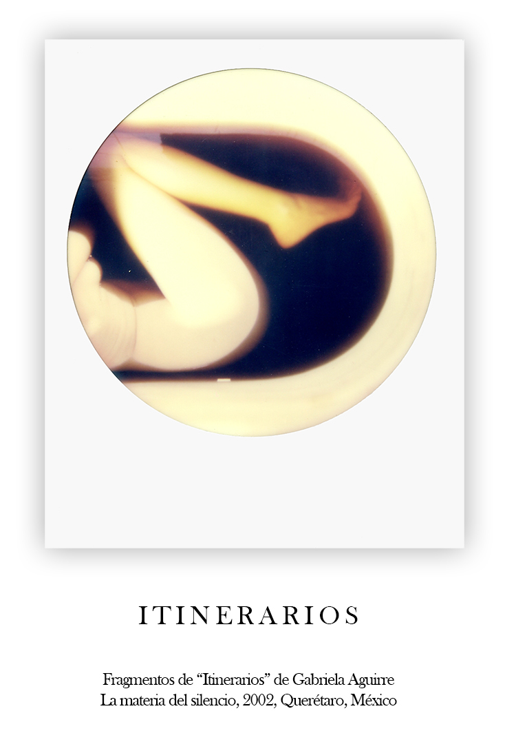 Carnus - Instant Photographers