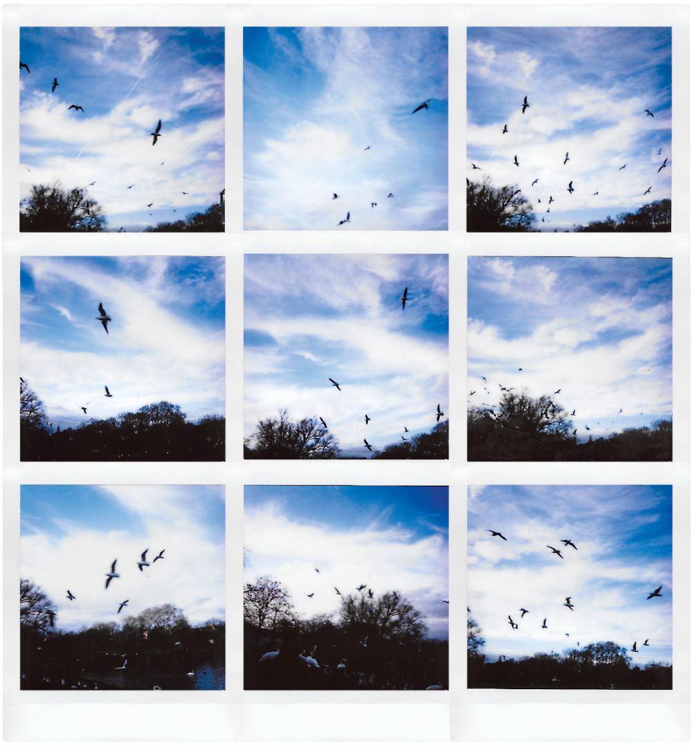 The Creative Journey of Erin O’Leary - Instant Photographers
