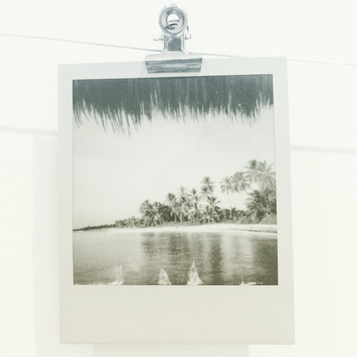 Cultura Polaroid – Laura Gil - Instant Photographers