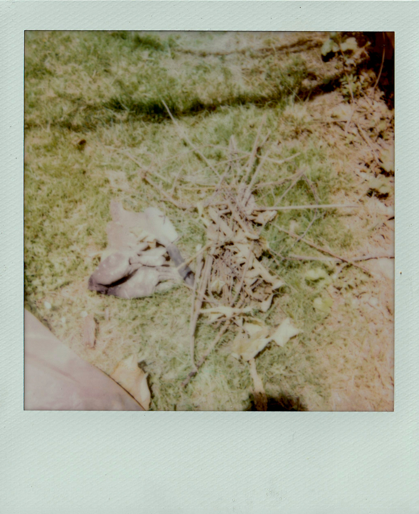 Altered memories in altered Polaroids – an investigative work through ...